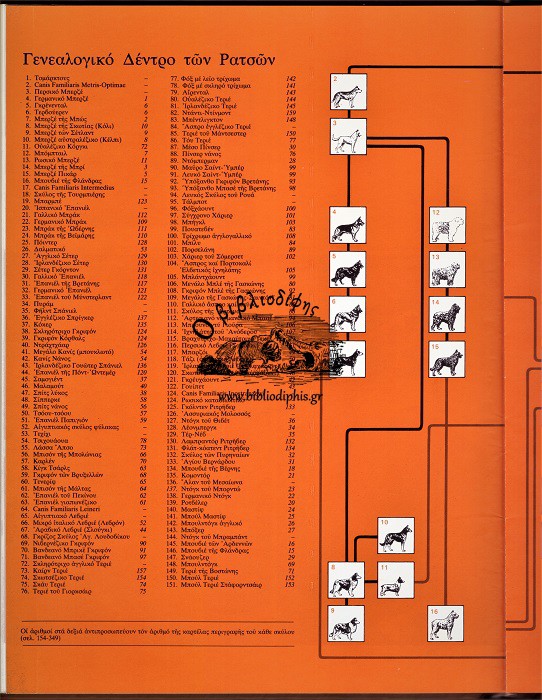 ΤΟ ΜΕΓΑΛΟ ΒΙΒΛΙΟ ΤΟΥ ΣΚΥΛΟΥ (2 ΤΟΜΟΙ)